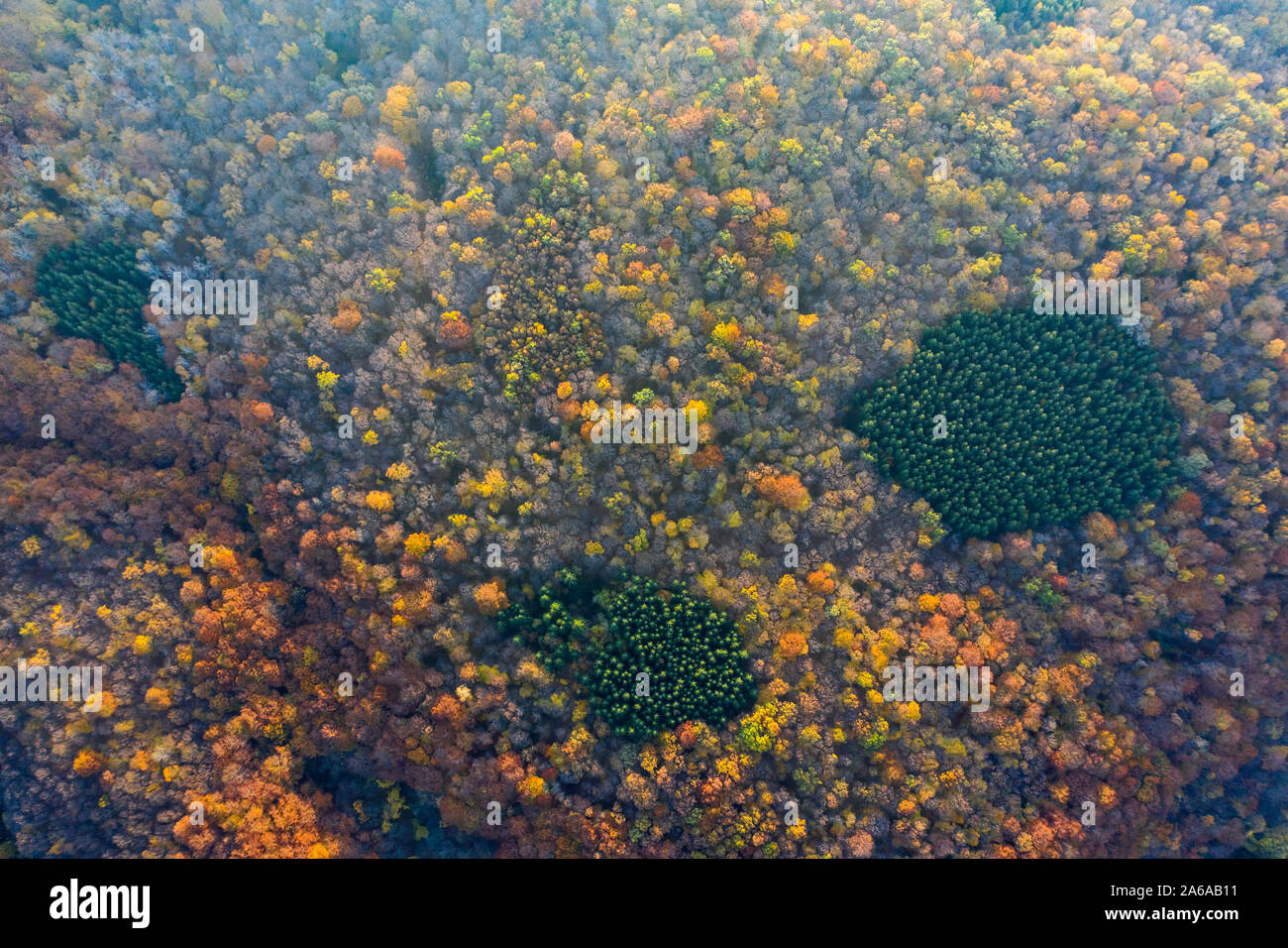 Flying above beautiful fall colors hi-res stock photography and images ...