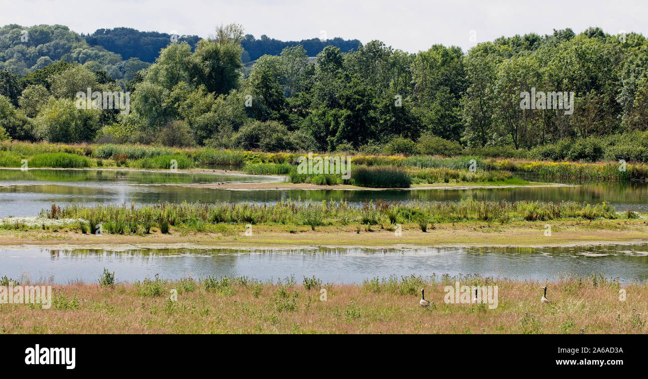 Egleton Reserve High Resolution Stock Photography and Images - Alamy