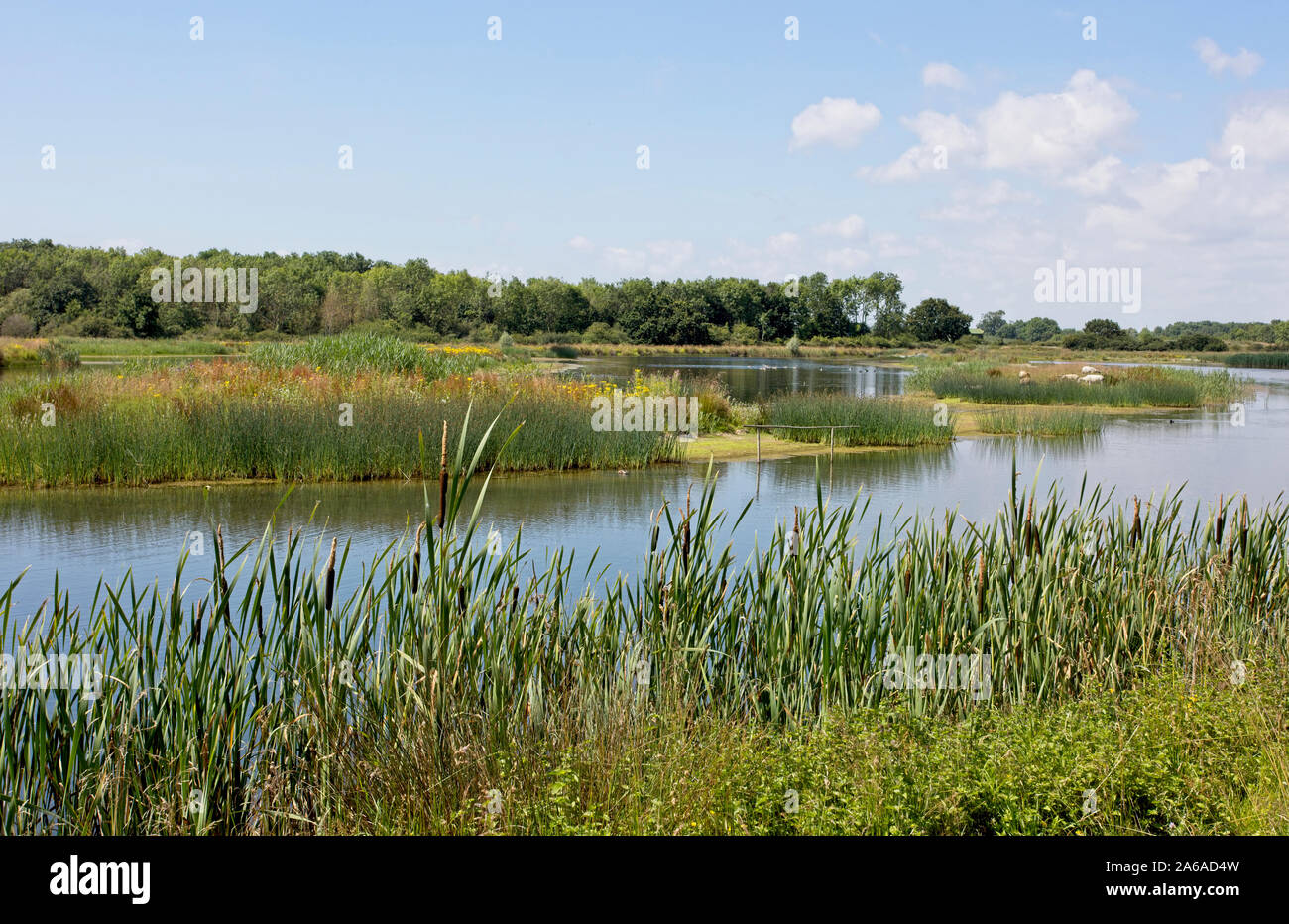 Egleton reserve hi-res stock photography and images - Alamy