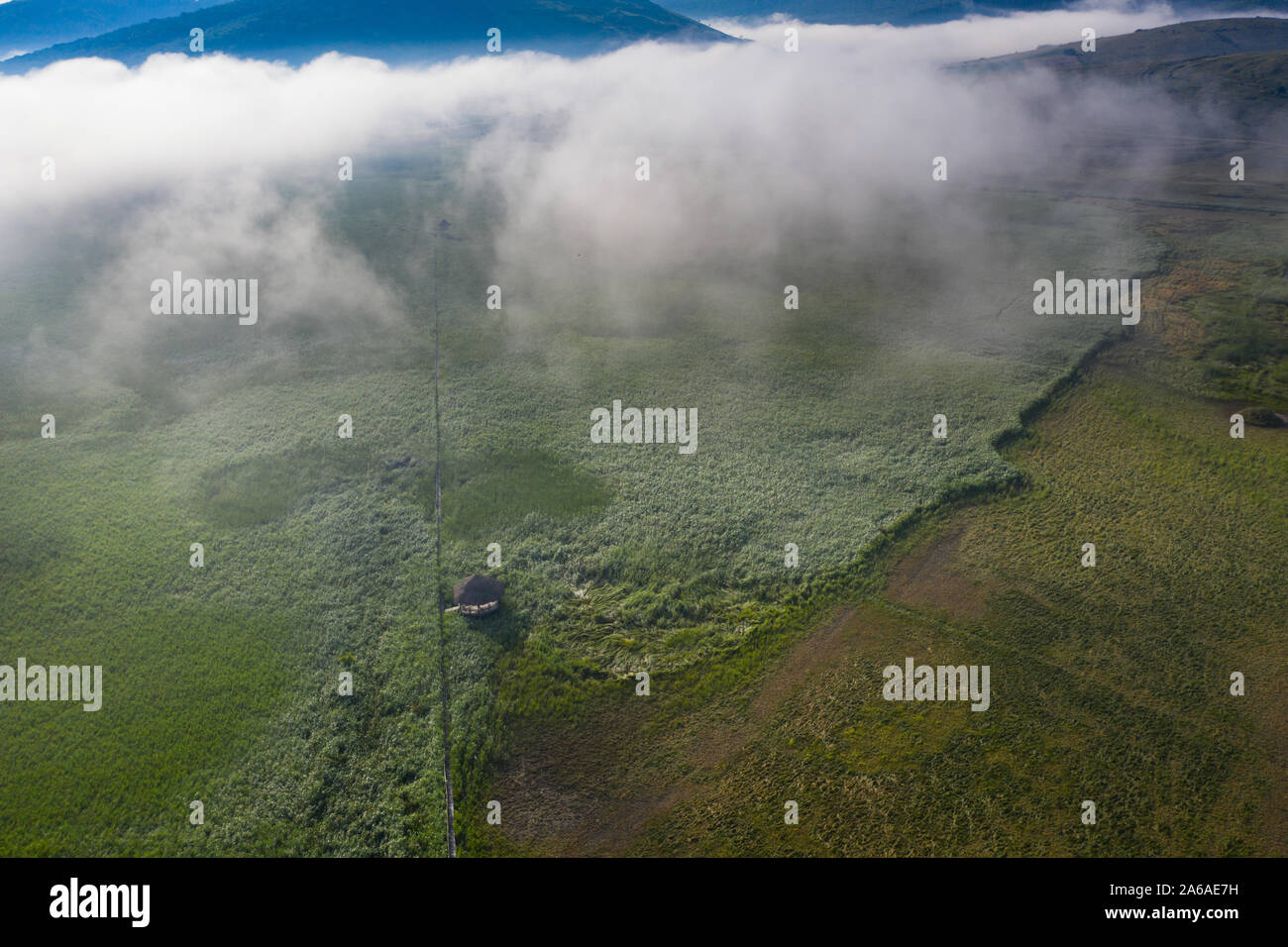 Marshes and Reeds wetland from top view aerial drone photo shoot Stock ...