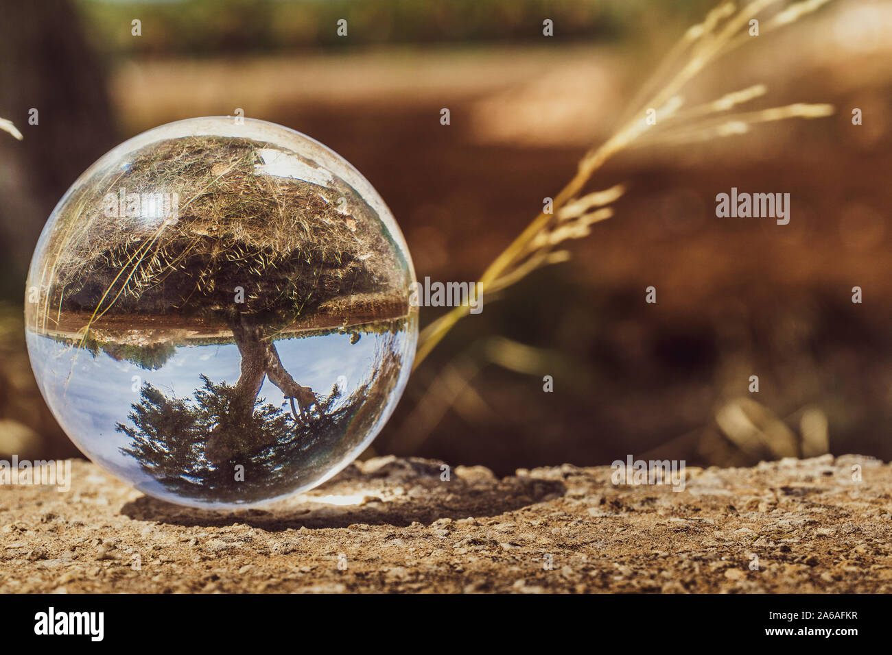 Light Refraction Photography