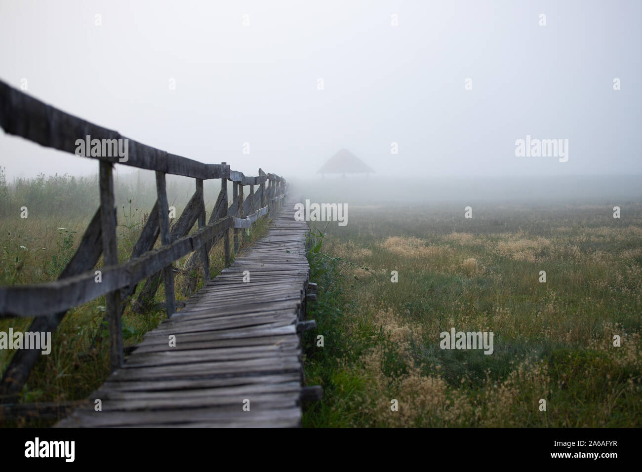 Small narrow path through reed at a lake Stock Photo - Alamy