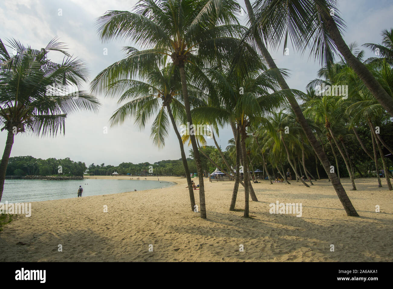 A beautiful sunny day at the beach in Sentosa island a very clean ...
