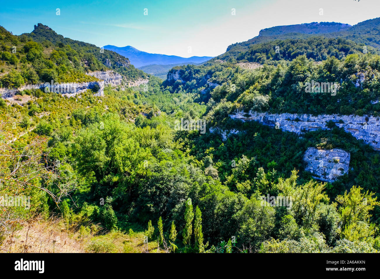 Steep forest hi-res stock photography and images - Alamy