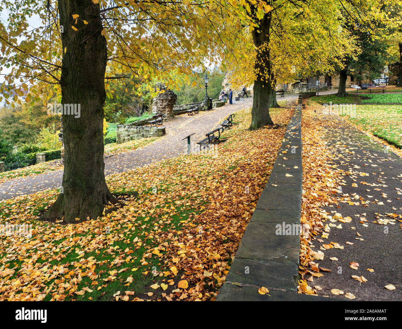 Autumn trees in the Castle Grounds at Knaresborough North Yorkshire ...