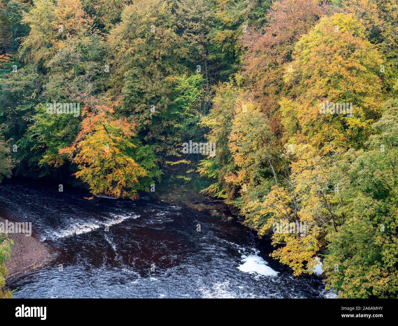 Riverside trees hi-res stock photography and images - Alamy