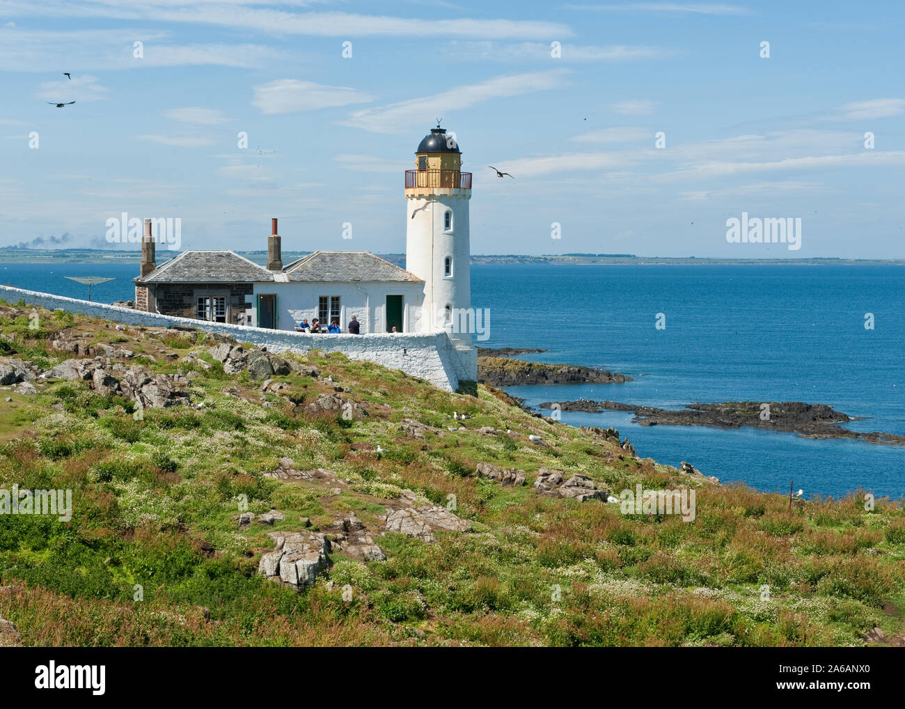 Low Light Lighthouse. Isle of May, Fife, Scotland Stock Photo - Alamy