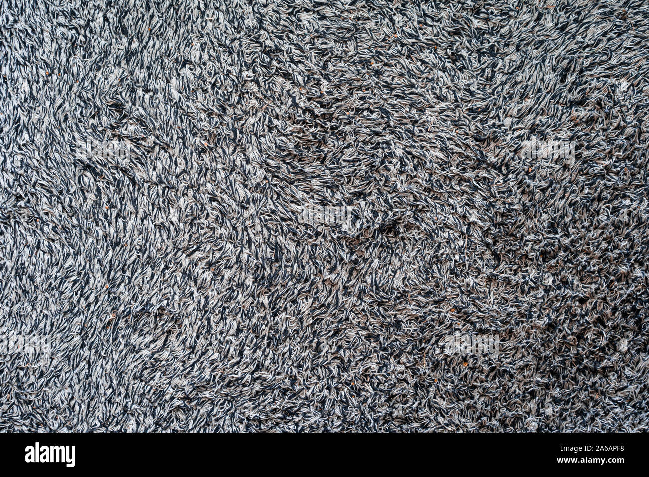 Fibre down hi-res stock photography and images - Alamy