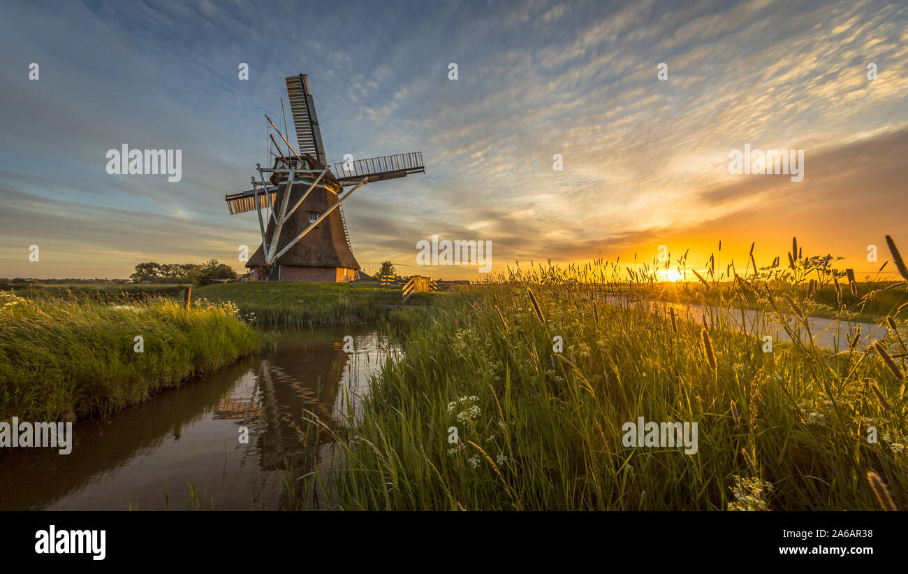 Windmill and grass hi-res stock photography and images - Alamy