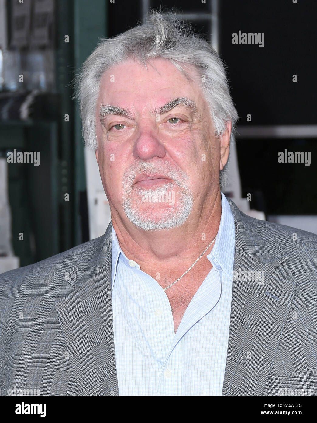 24 October 2019 -Hollywood, California - Bruce McGill. "The Irishman ...