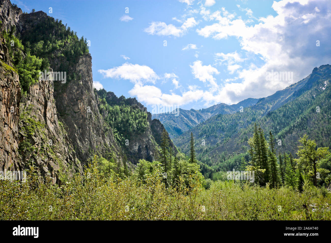 Taiga siberia hi-res stock photography and images - Alamy