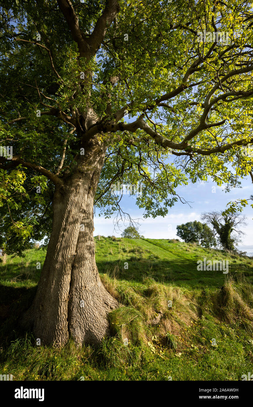 Navan fort ireland hi-res stock photography and images - Alamy
