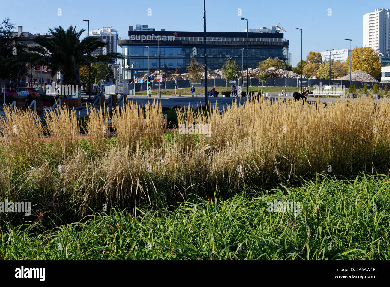 Market square in Katowice Stock Photo - Alamy