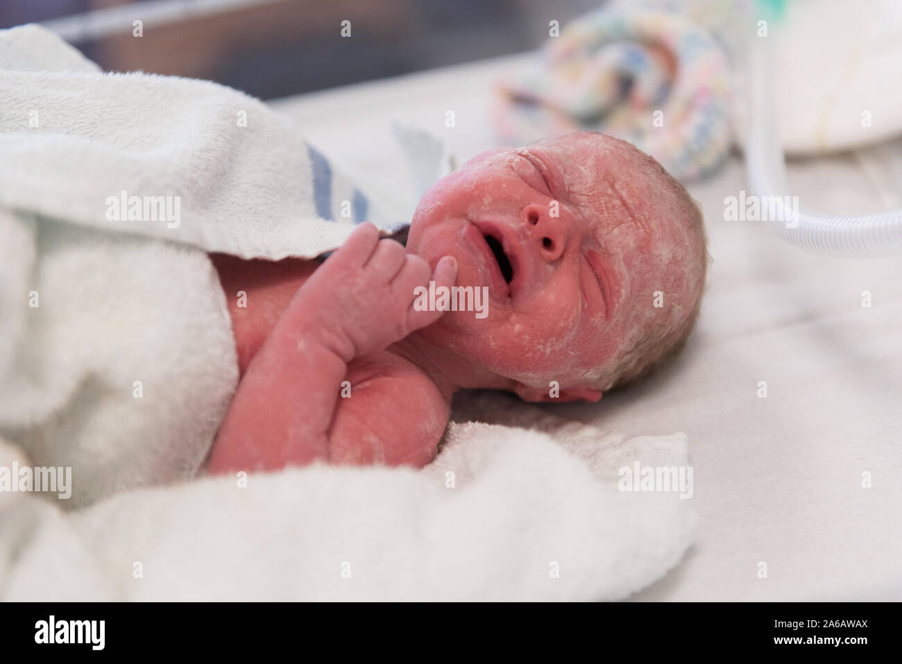 A young baby girl is born premature weighing just 4lbs, pictured here ...
