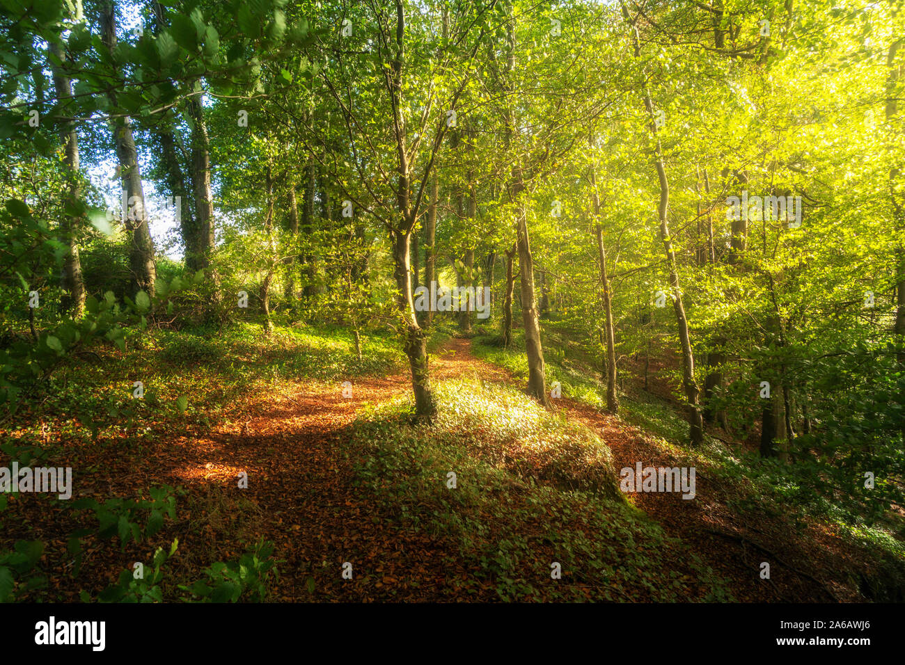 Minnowburn hi-res stock photography and images - Alamy
