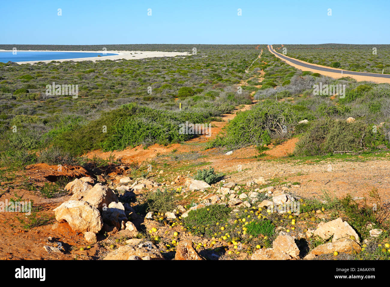 View of Shell Beach in Shark Bay, World Heritage area, Western ...