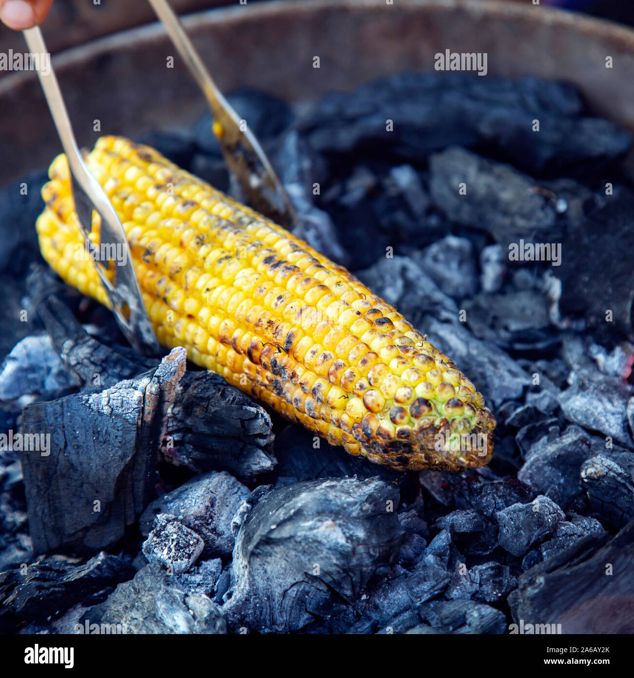 Yellow corn roasted on fire from black carbons Stock Photo - Alamy