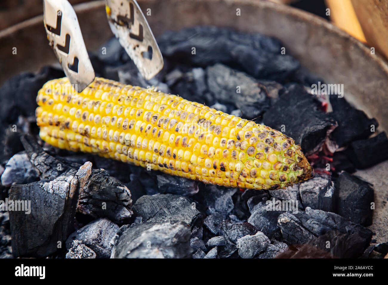 Yellow corn roasted on fire from black carbons Stock Photo - Alamy