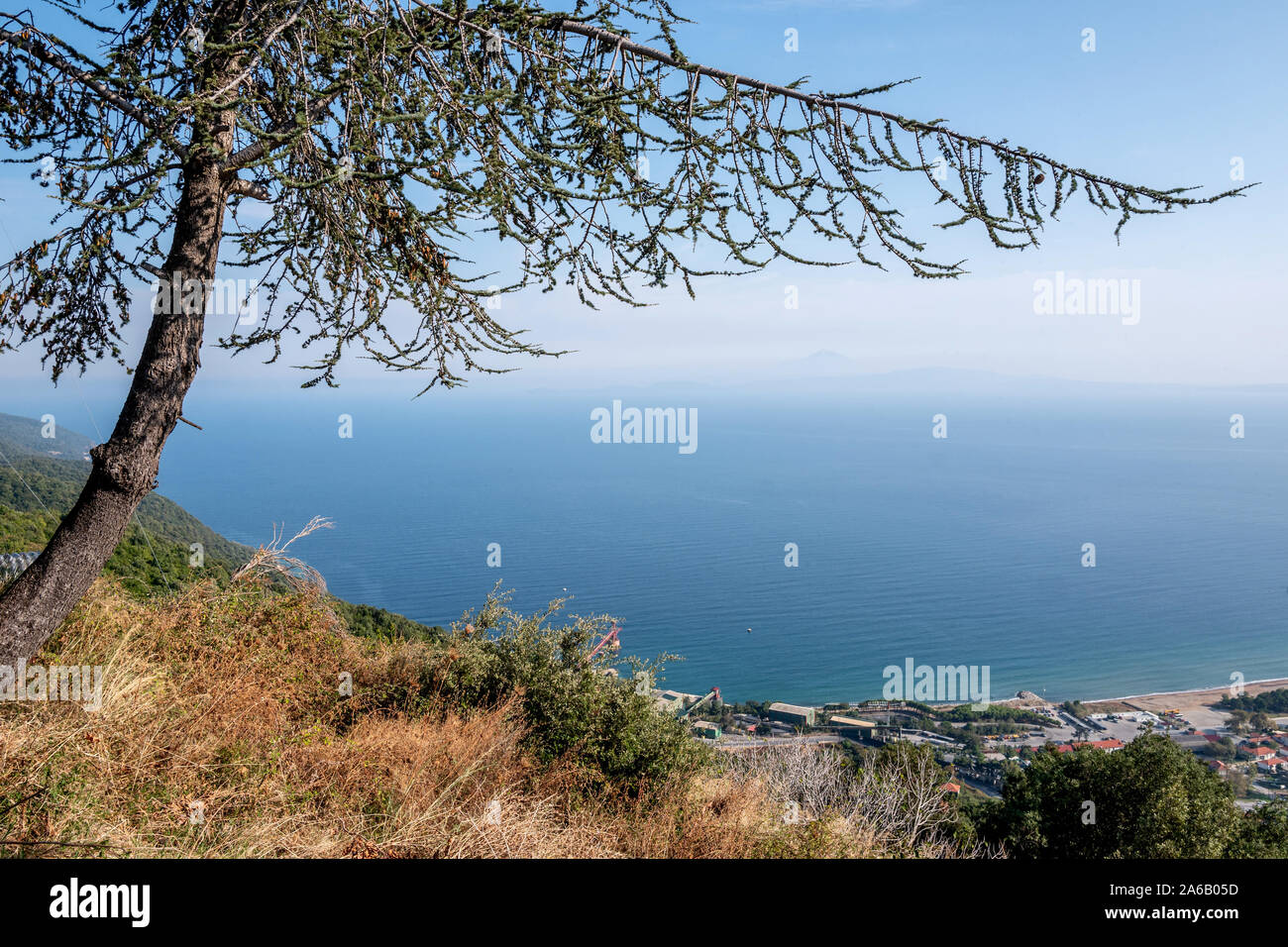 Aristotle stagira hi-res stock photography and images - Alamy