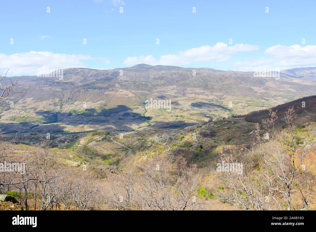 Cherry blossom at Jerte Valley, Cerezos en flor Valle del Jerte. Cherry ...