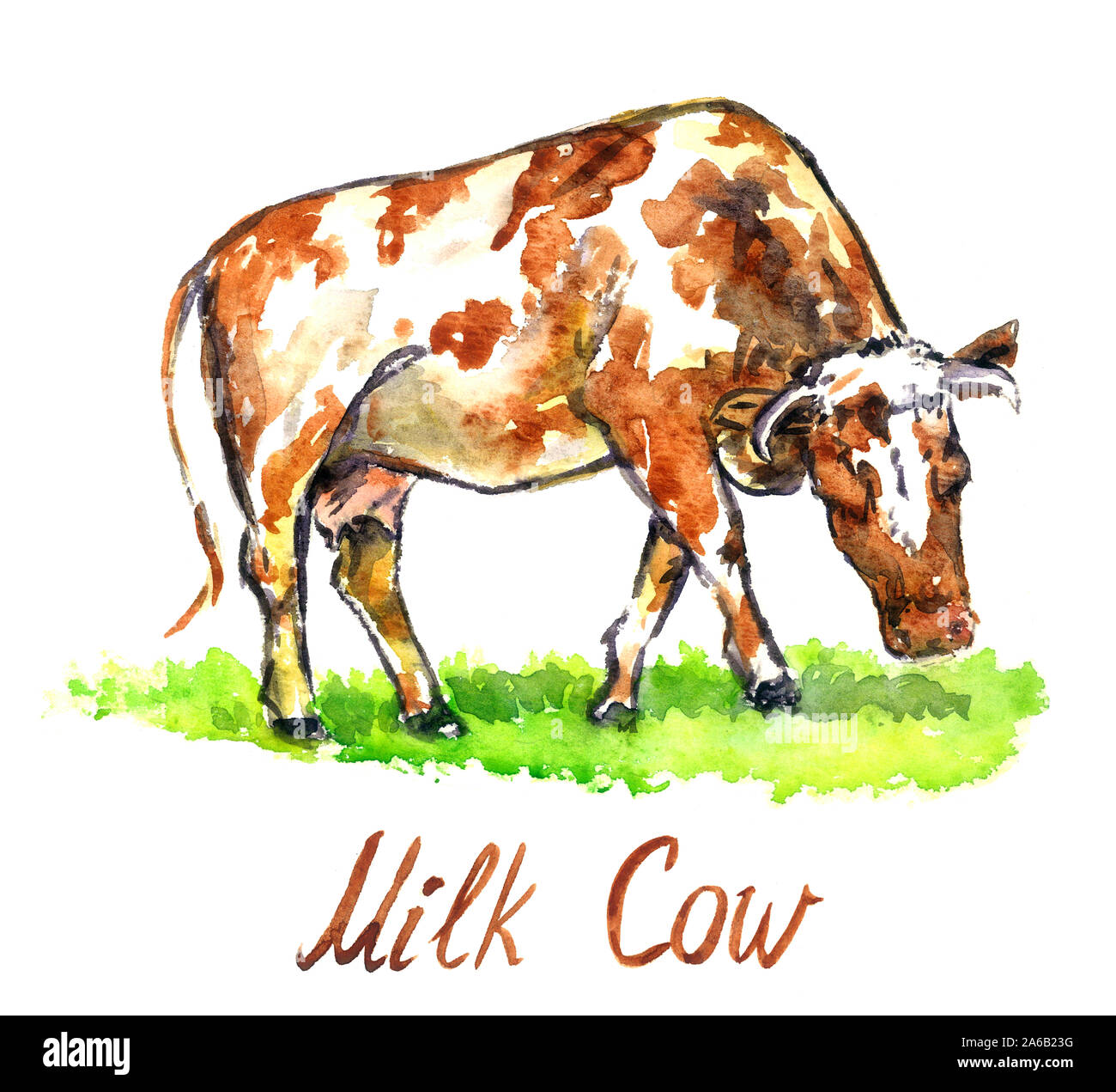 Red cow standing on green meadow, side view hand painted watercolor ...