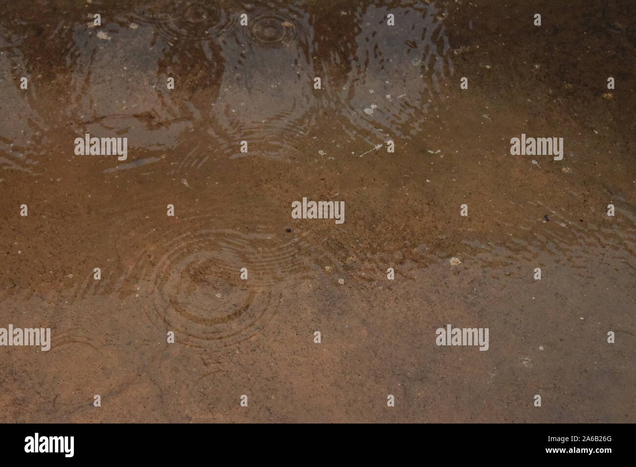 rain drops on the surface of water in the floor with graduated shade of ...