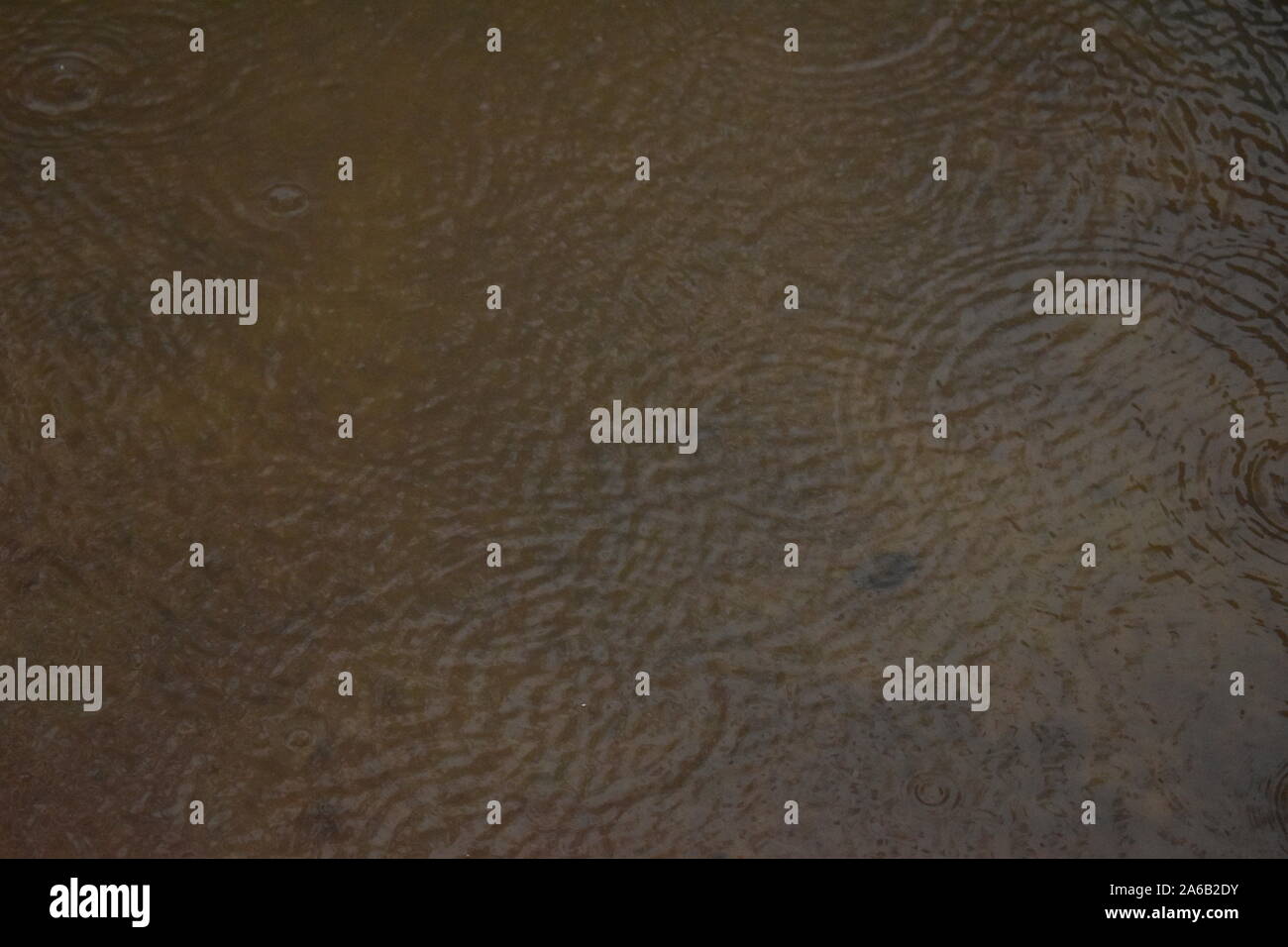 rain drops on the surface of water in the floor with graduated shade of ...