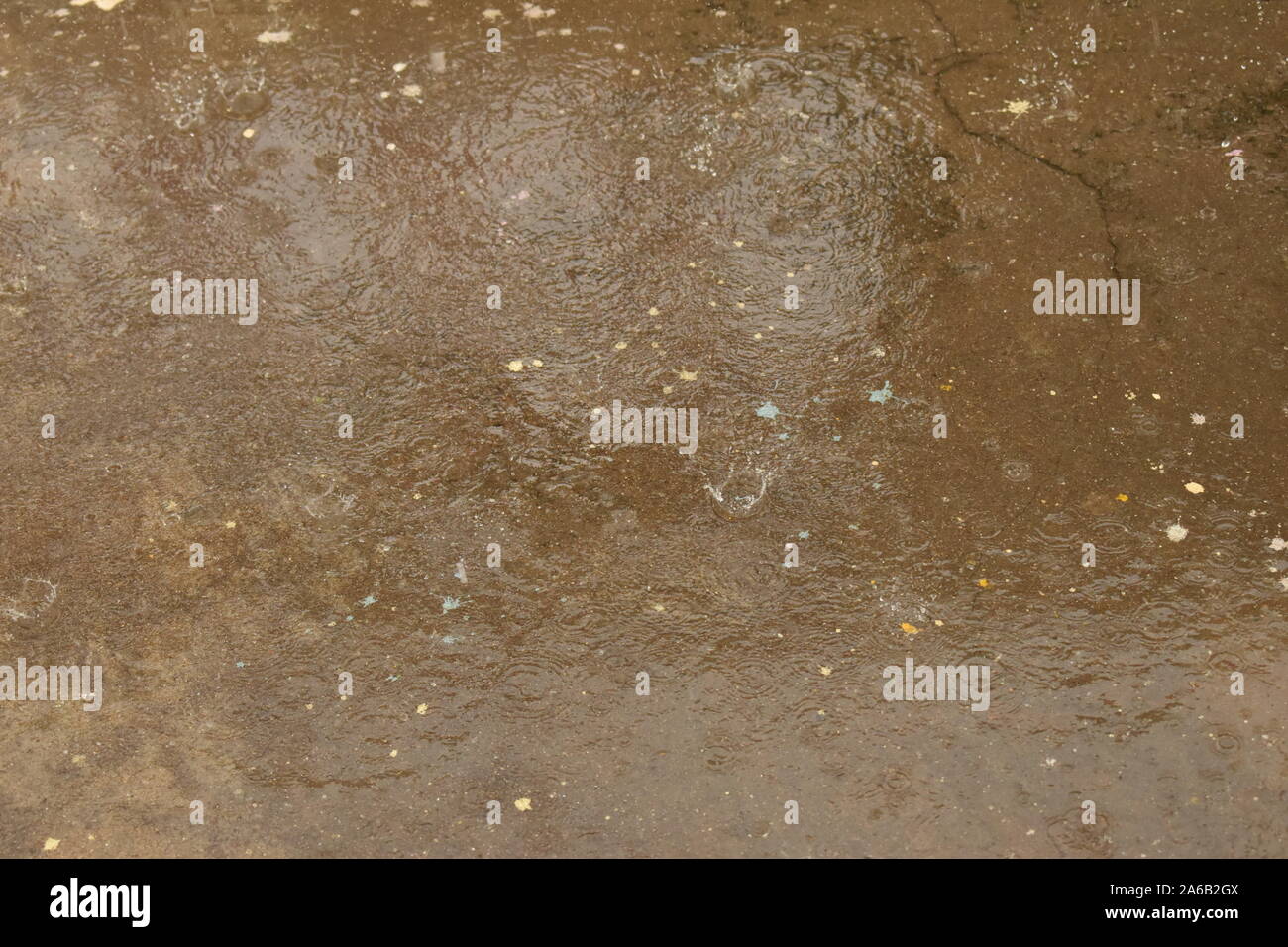 rain drops on the surface of water in the floor with graduated shade of ...