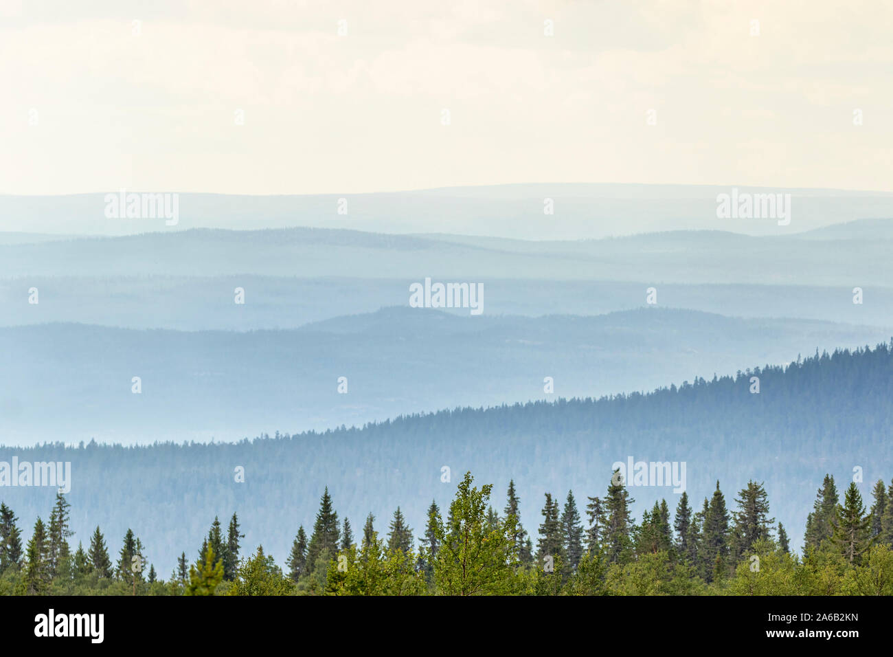 Rolling landscape view with shadings in the woods Stock Photo - Alamy