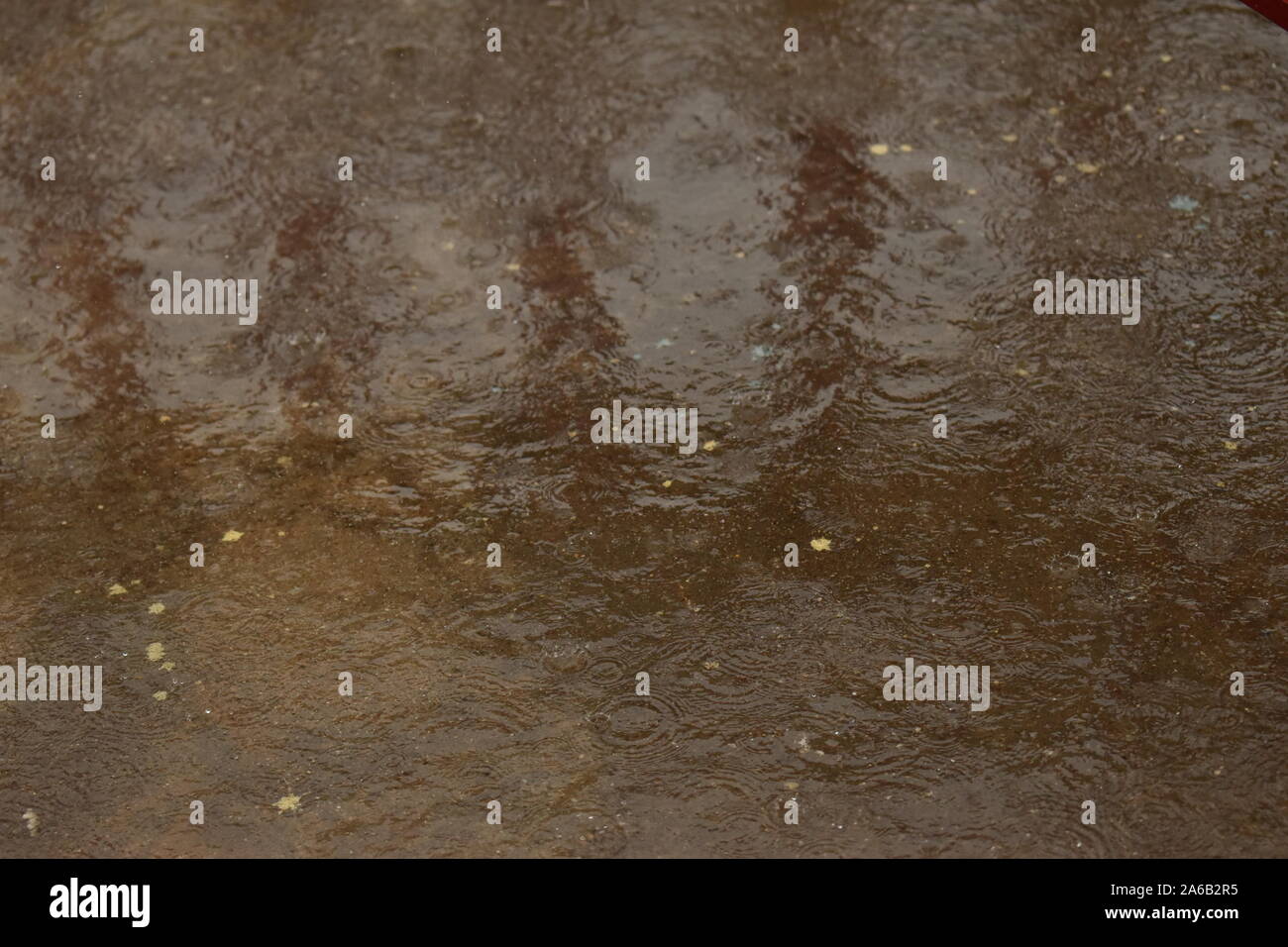 Rain splash hi-res stock photography and images - Alamy