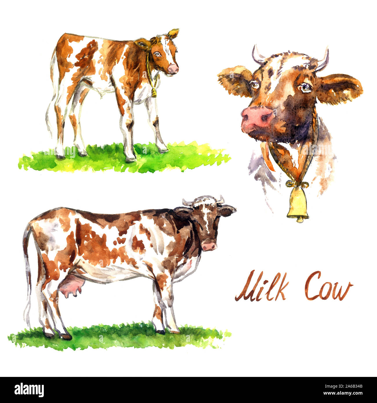 Realistic cows hi-res stock photography and images - Alamy