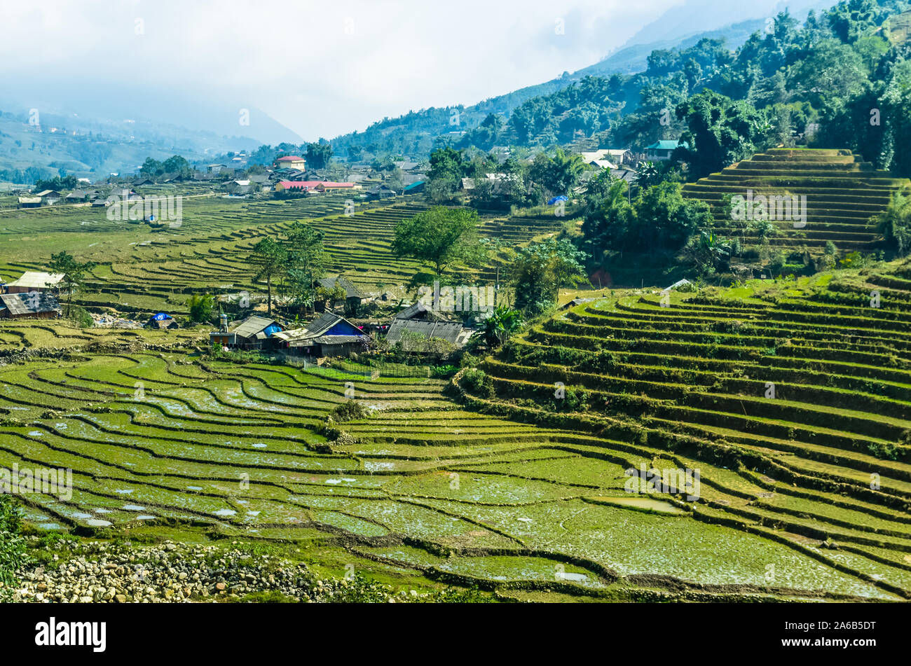Amazing colorful view on rice terrace in Sapa village, Vietnam Stock ...