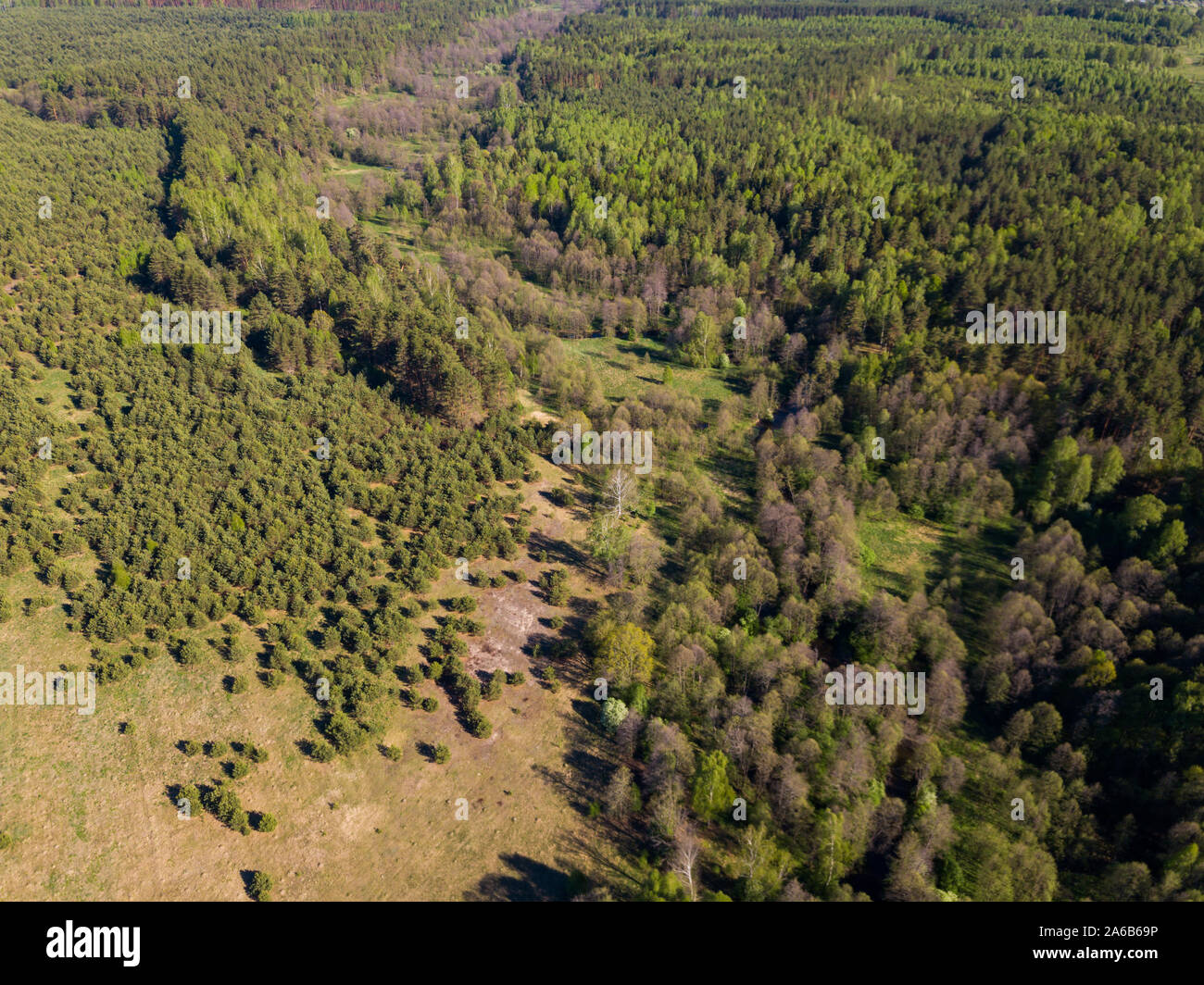 Picturesque landscape of central Russia with copses of trees in sunny ...