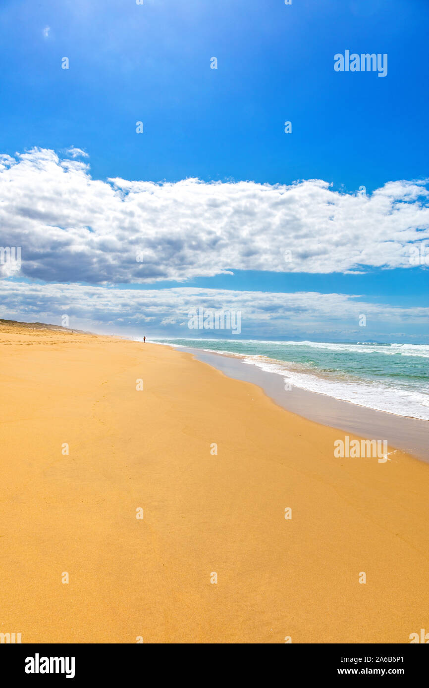 Hossegor, france beach hi-res stock photography and images - Alamy
