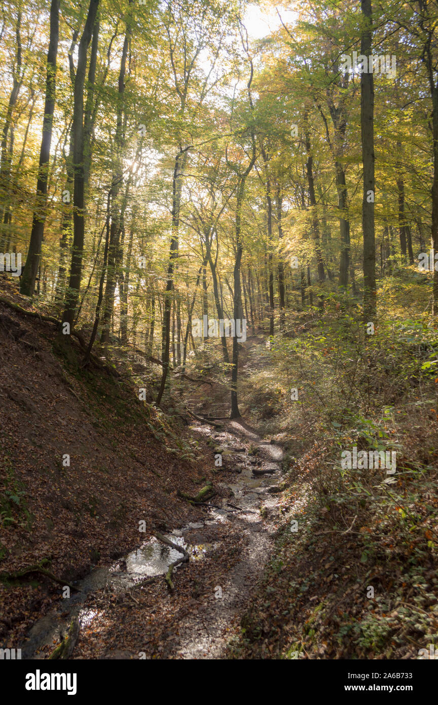 Rheinsteig hi-res stock photography and images - Alamy