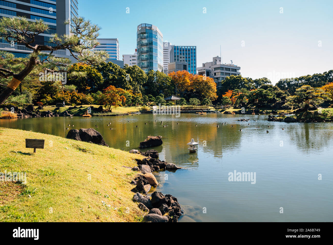 Japanese traditional garden Kyu Shiba Rikyu Garden at autumn in Tokyo ...