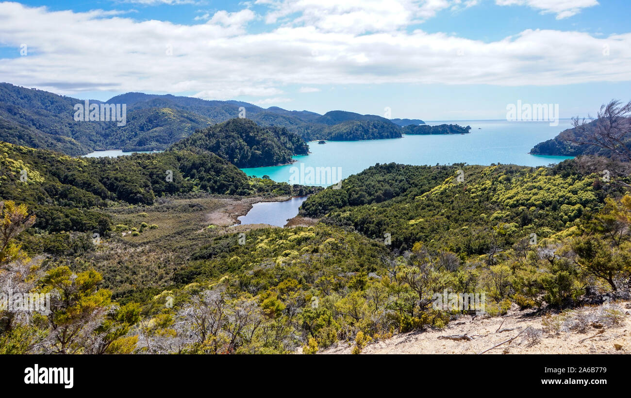 Sandy Tropical Beach and Headland Anchorage Bay, Abel Tasman National ...