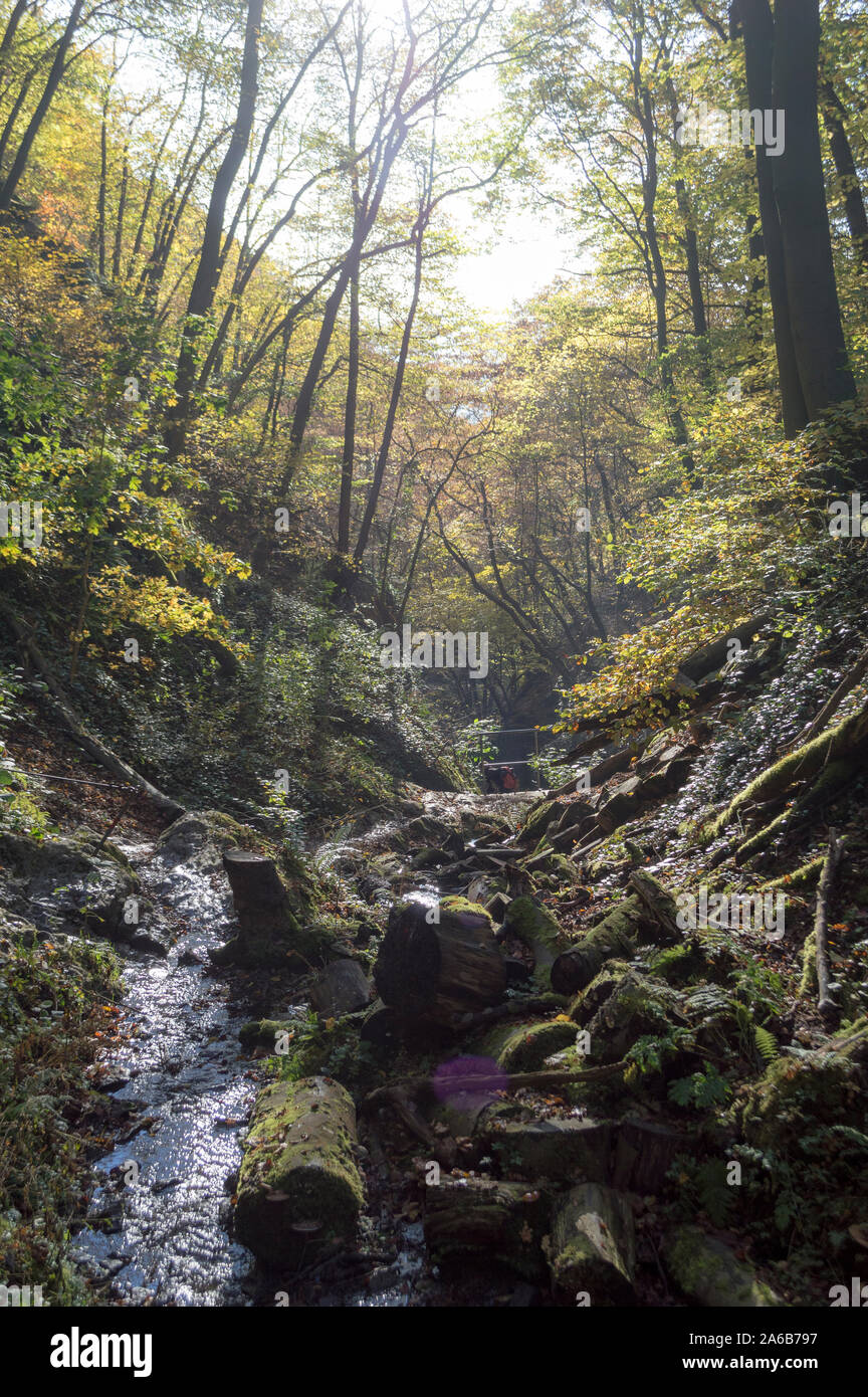 Rheinsteig hi-res stock photography and images - Alamy