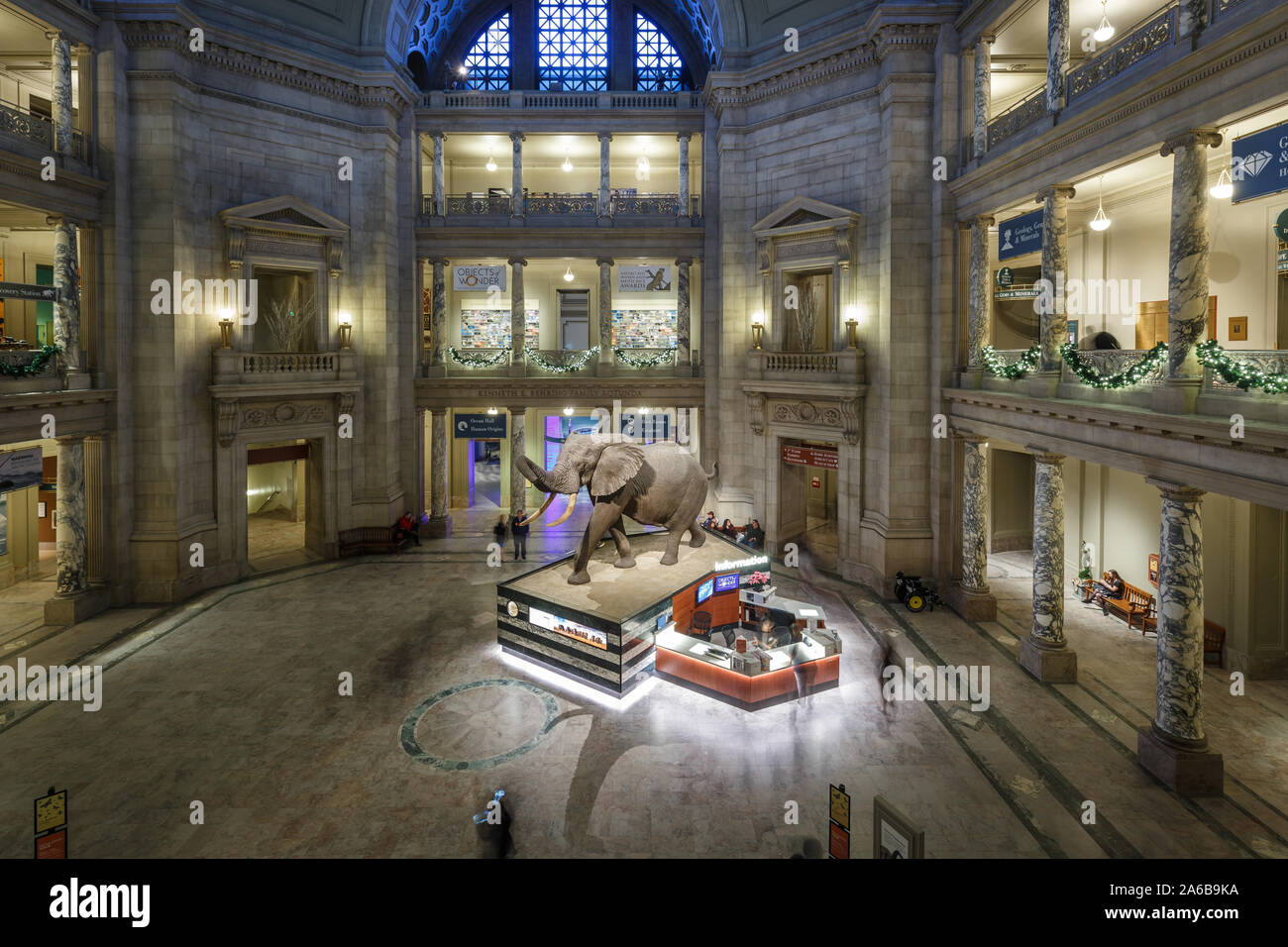 The indoors view of the center of Smithsonian National Museum of ...