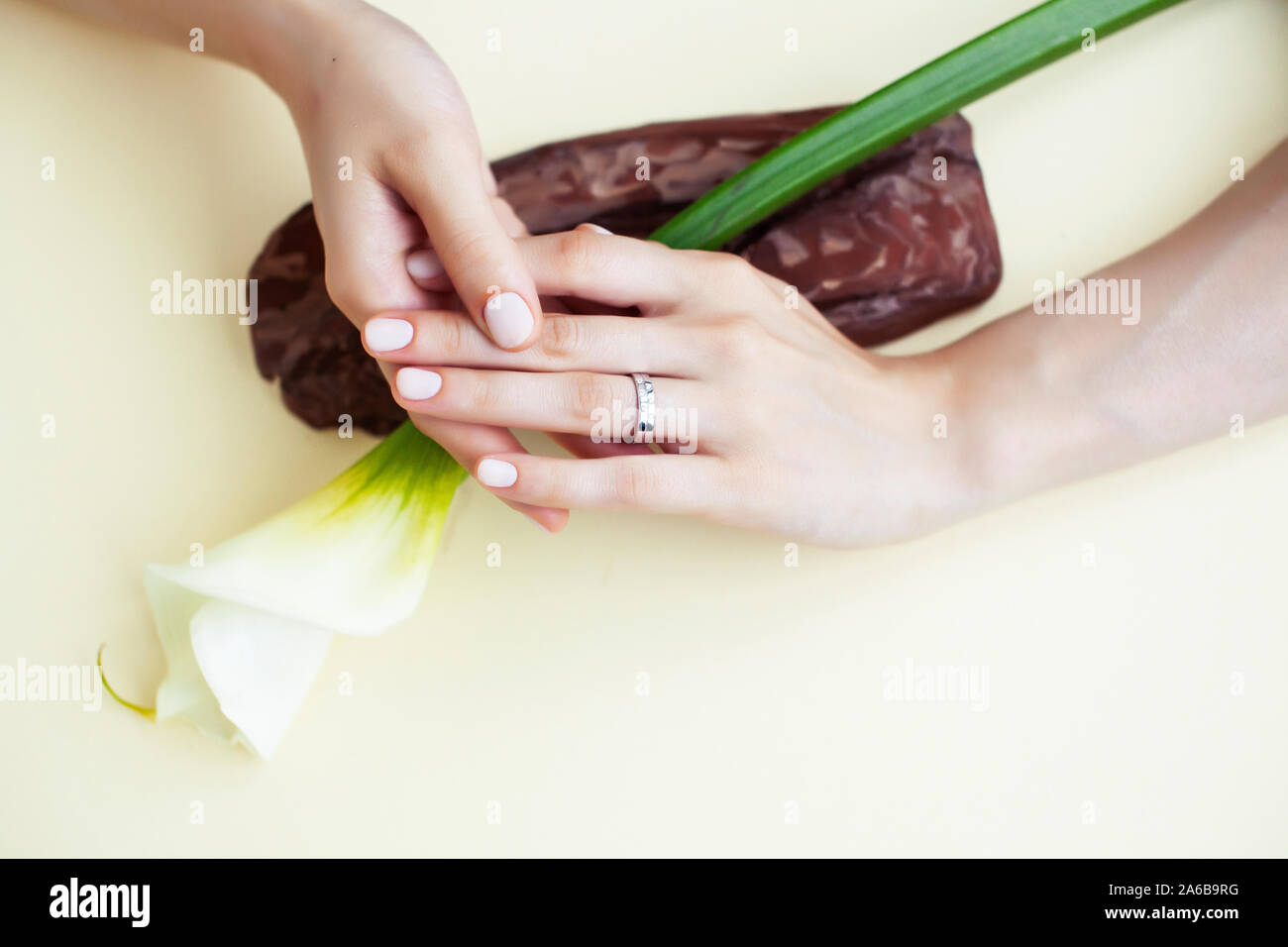 pretty perfect woman hands with white manicure and big flower on ...