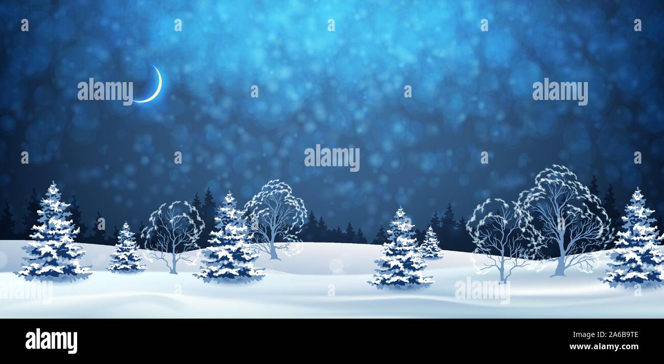 Winter Night Landscape Stock Vector Image & Art - Alamy