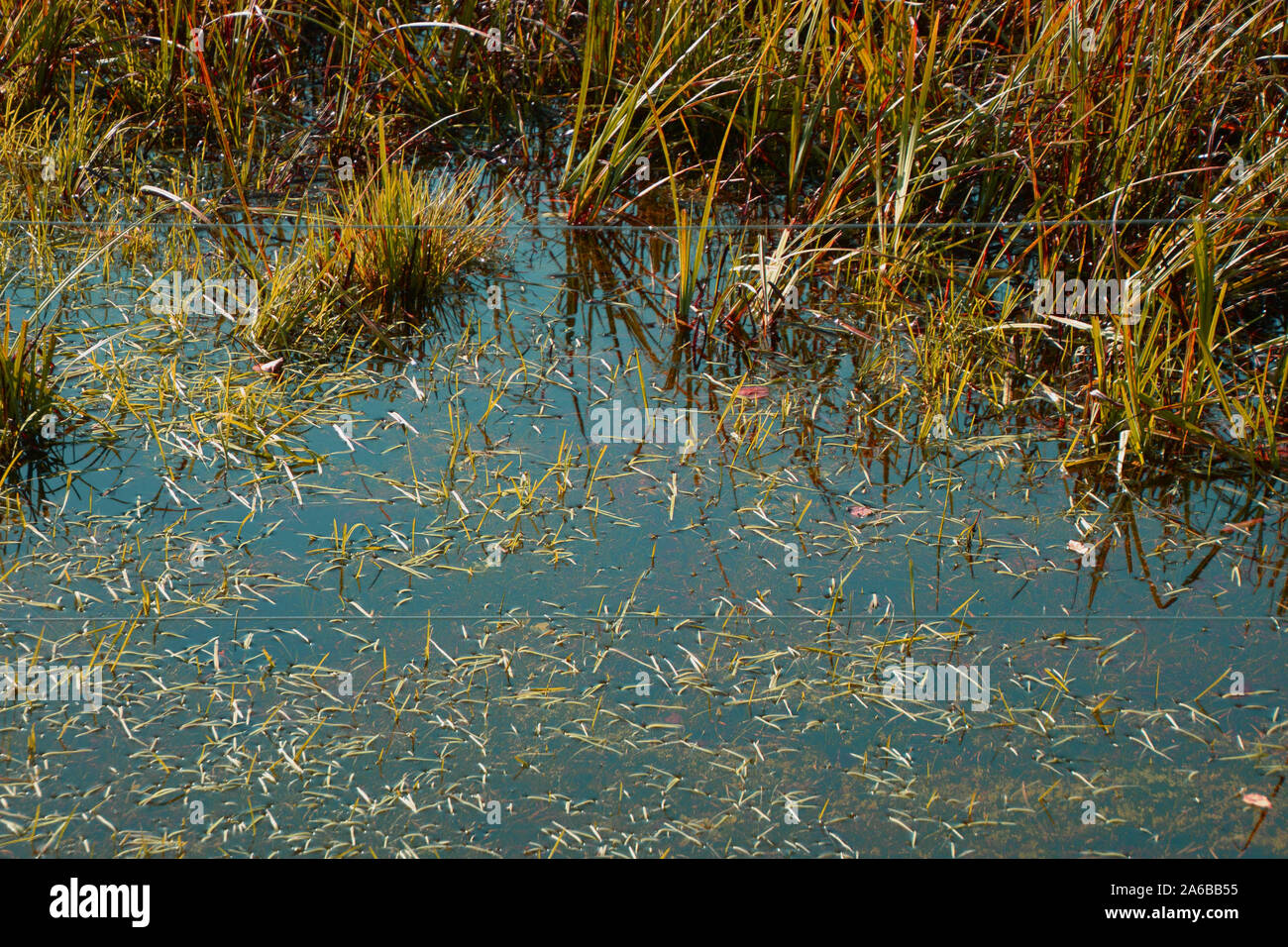 Wet water puddle distance reflection hi-res stock photography and ...