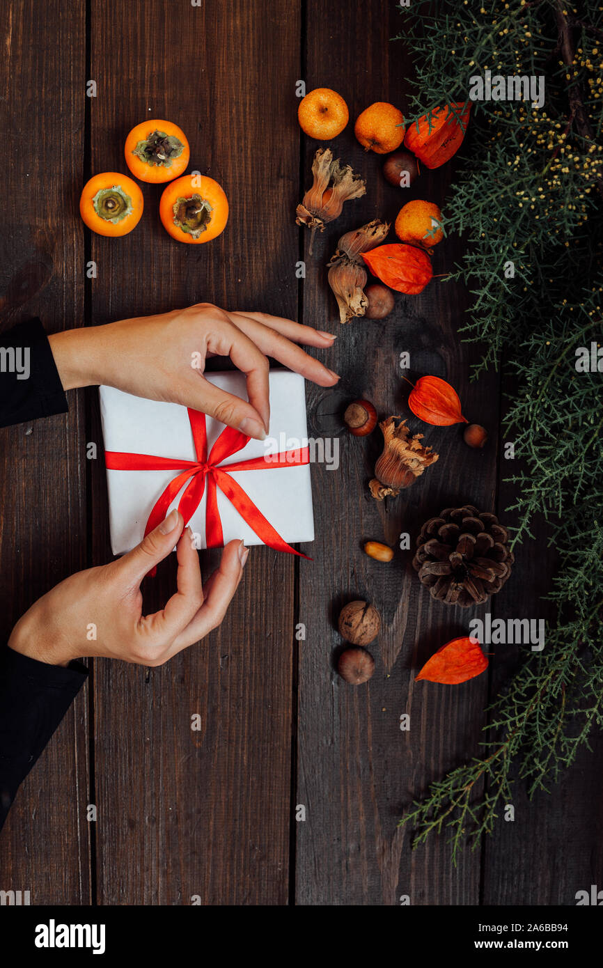 gift in hand Christmas tree in white background winter snow new year ...