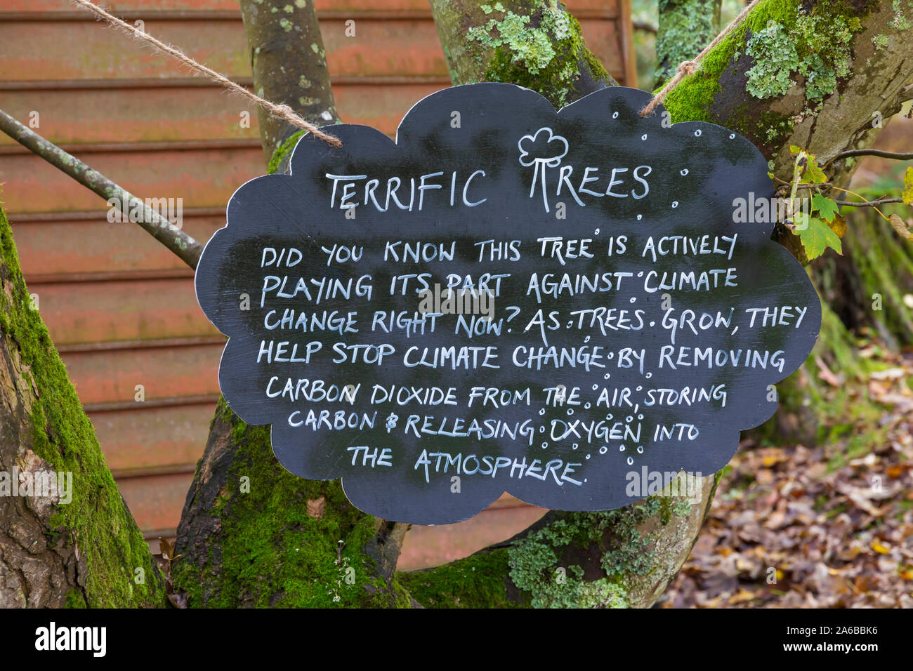As trees grow they help stop climate change hi-res stock photography ...
