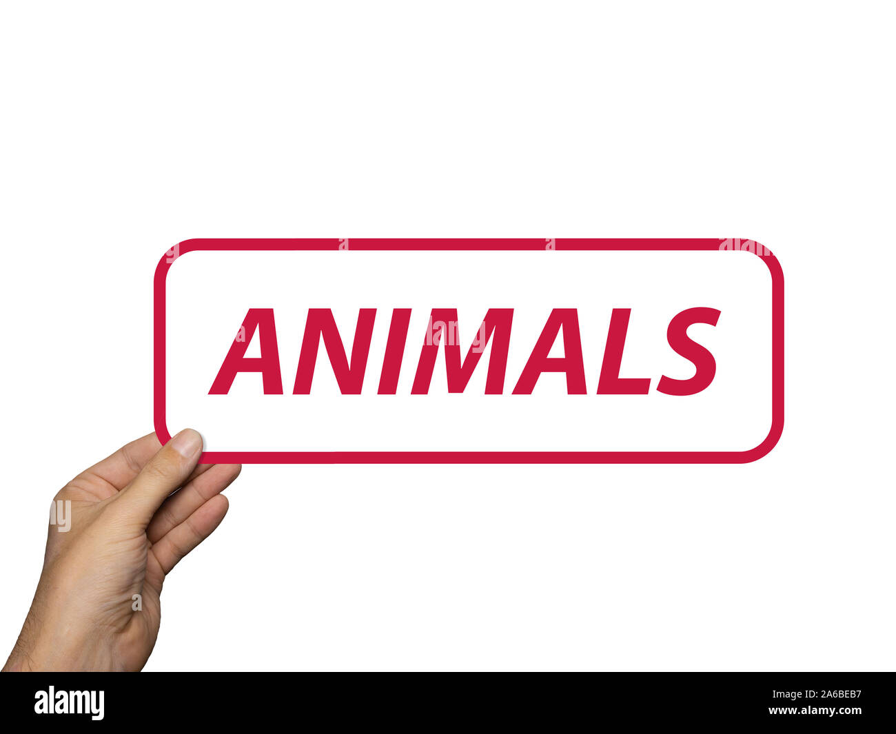 hand holding card with the word Animals. isolated on white background ...
