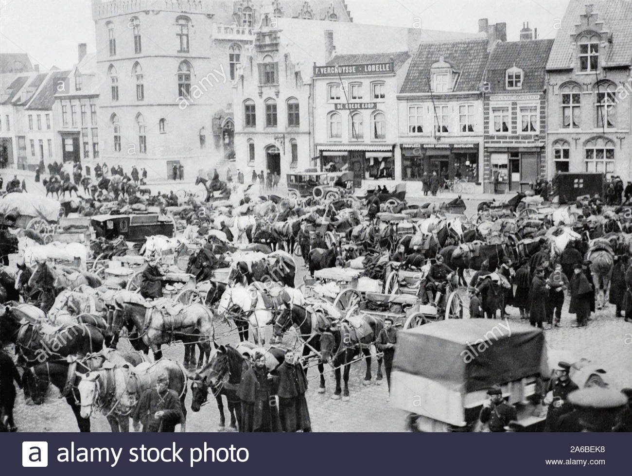 Belgian cavalry hi-res stock photography and images - Alamy