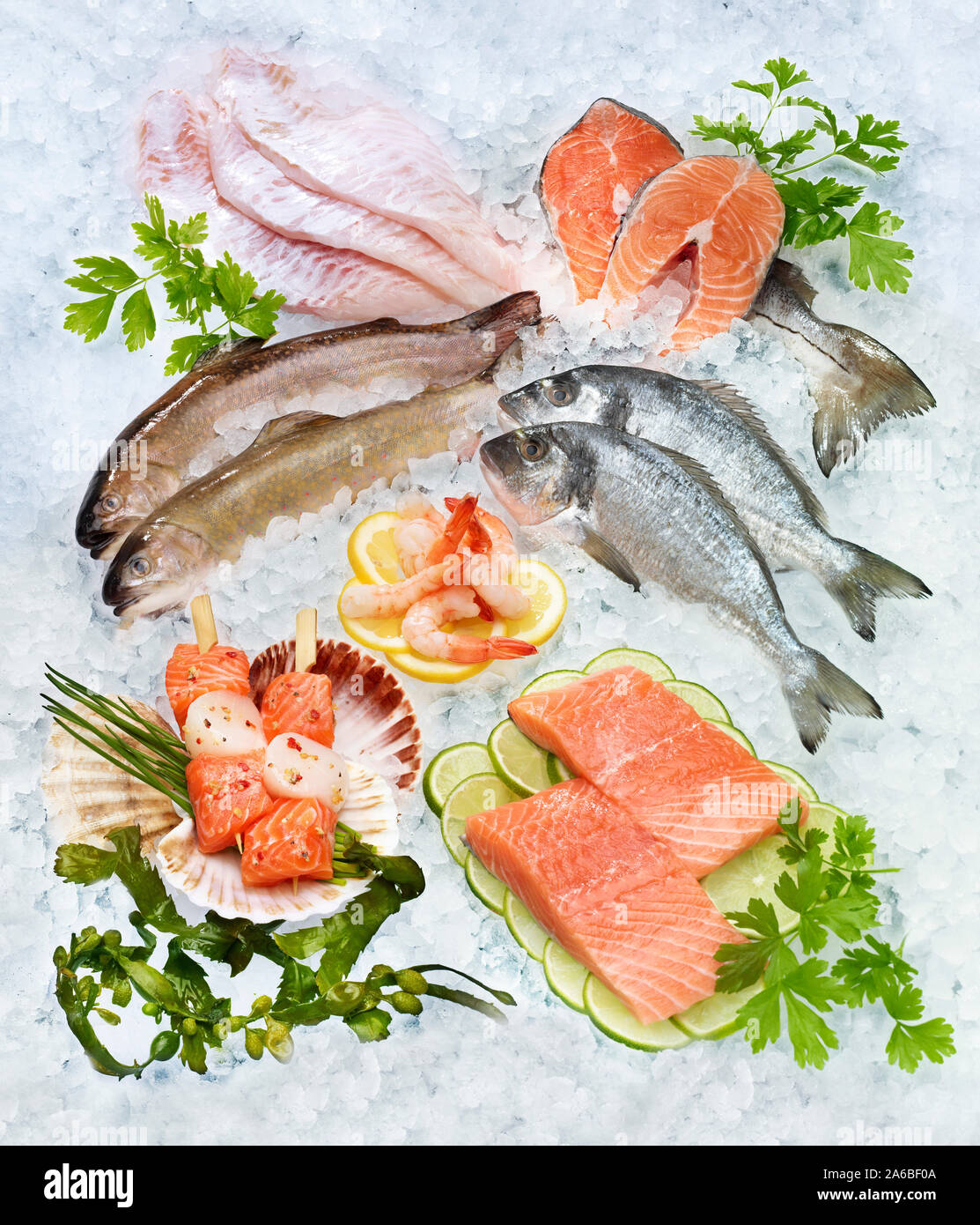 Various fish hi-res stock photography and images - Alamy