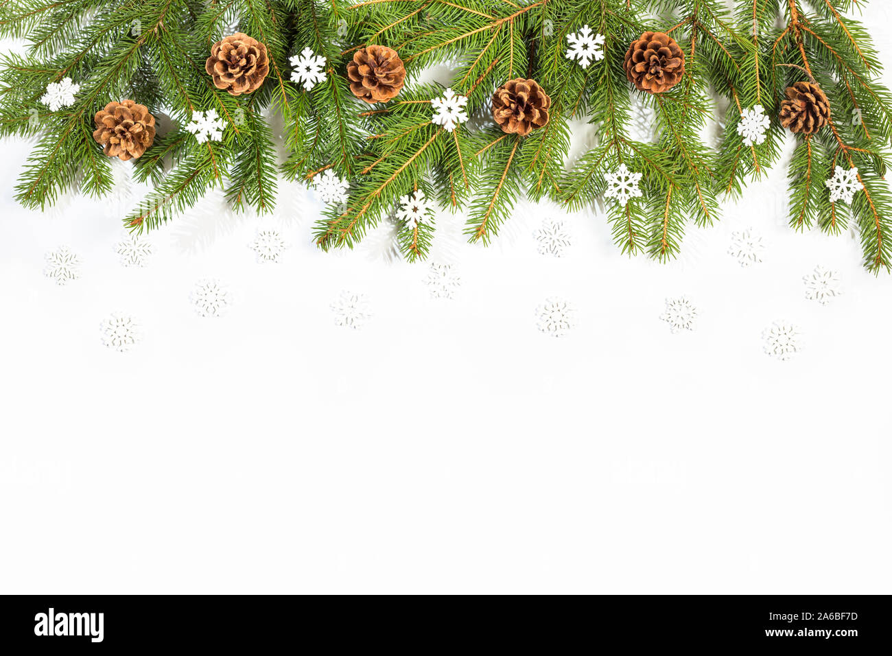 Christmas Pine Branch Border