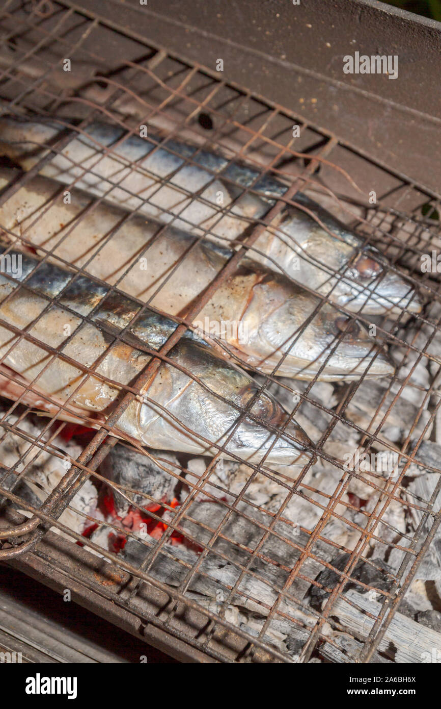Grilled smoked Golden mackerel fish outside late at night Stock Photo ...