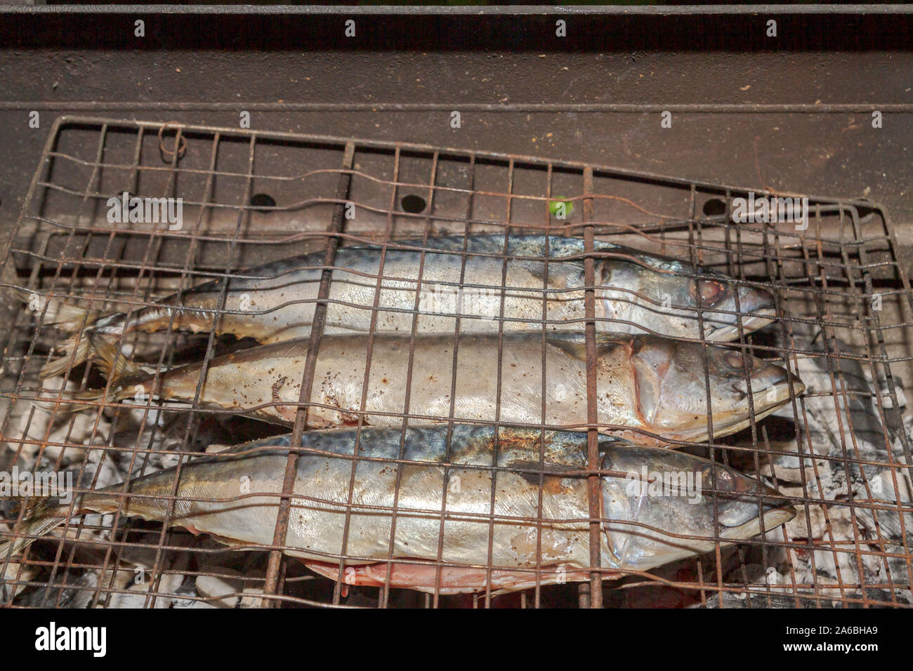 Grilled smoked Golden mackerel fish outside late at night Stock Photo ...